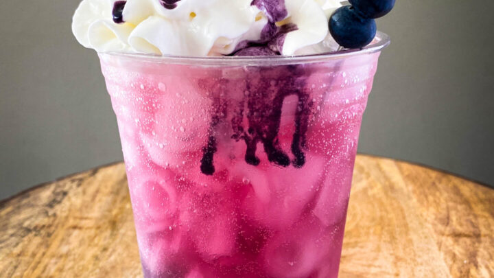 Dark Berry Lotus Drink - Lotus Recipes
