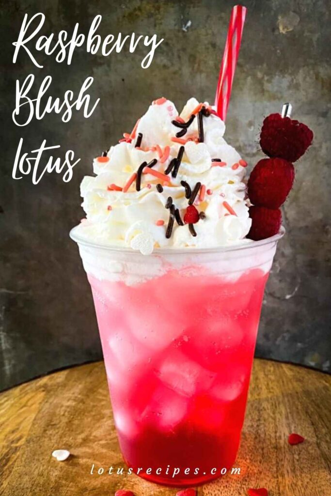 Dark Berry Lotus Drink - Lotus Recipes
